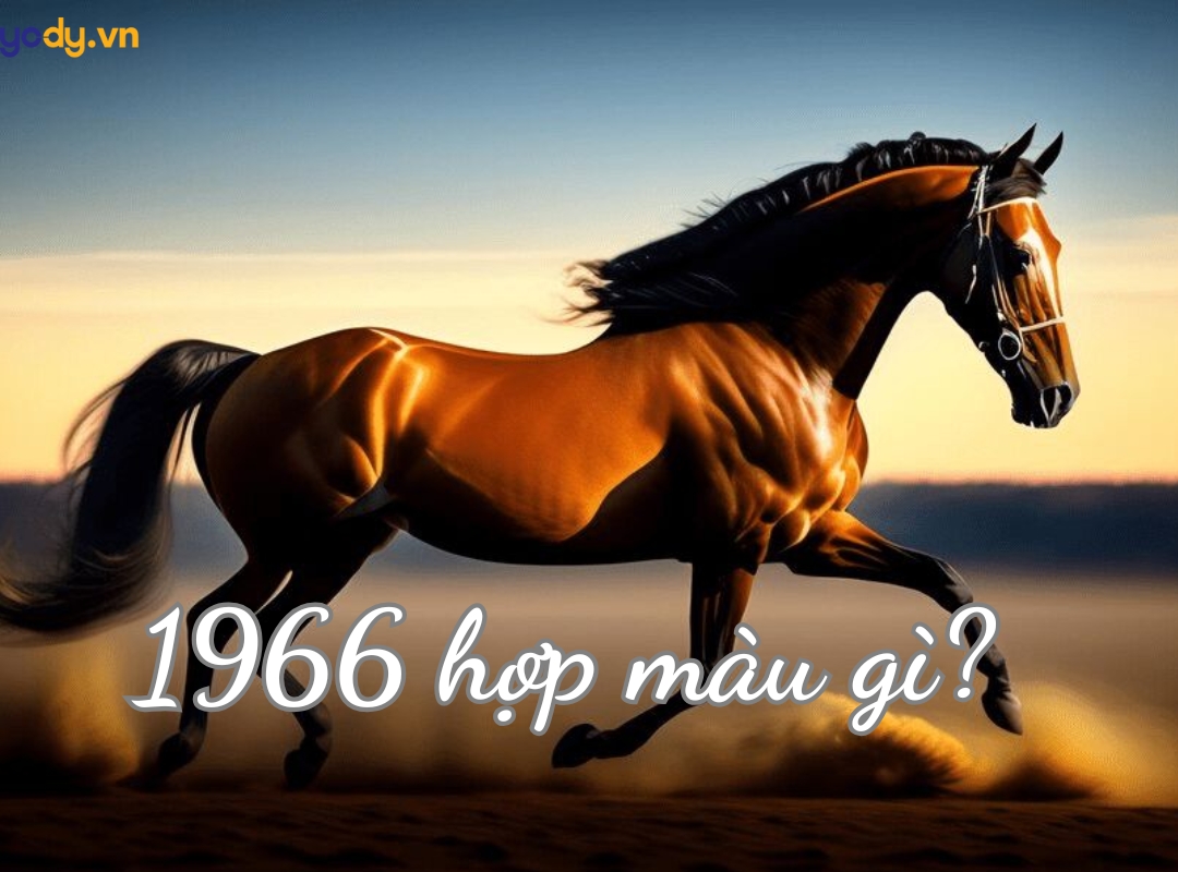 Bính Ngọ 1966 hợp màu gì? Đừng bỏ lỡ nếu muốn đổi vận! | Yody